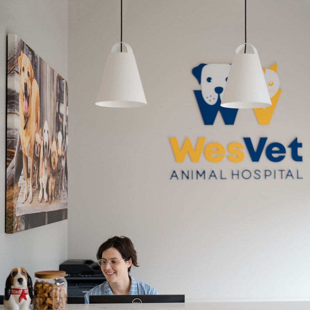Veterinarian in Nashville | Vet Near You | WesVet